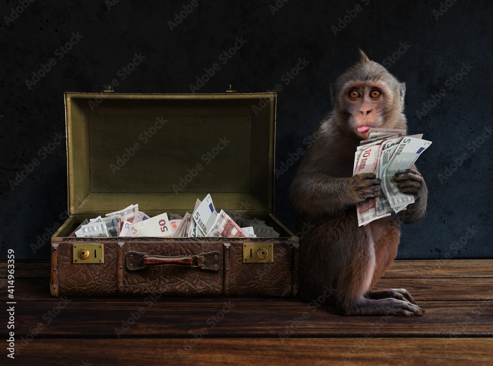 Intelligent clever monkey with money on hand and suitcase full of cash ...