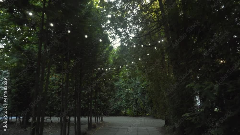 Moving forward on green sidewalk lined with tiles, with thujas. Bushes ...