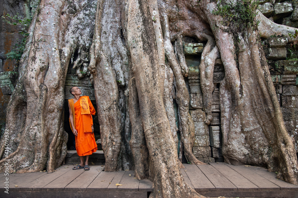 Foto de A Buddhist monk gazes up at the roots of a Banyan tree at the ...