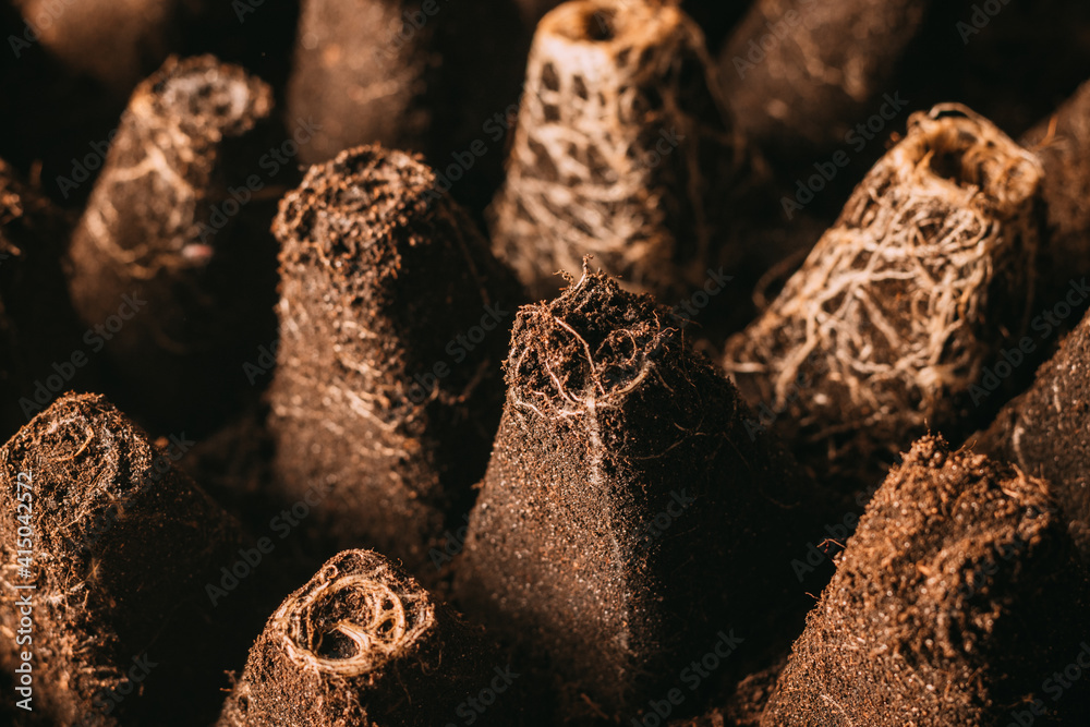 Flower soil from Seedling Tray Sprout Plate, soil for flowers with ...