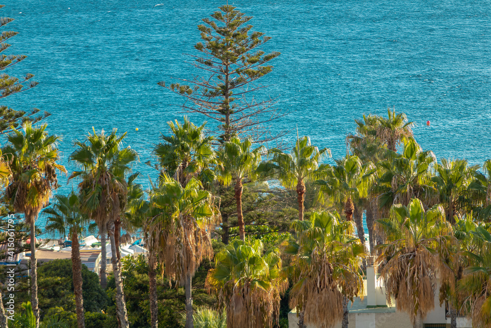 Paisaje de playa con palmeras Stock Photo | Adobe Stock