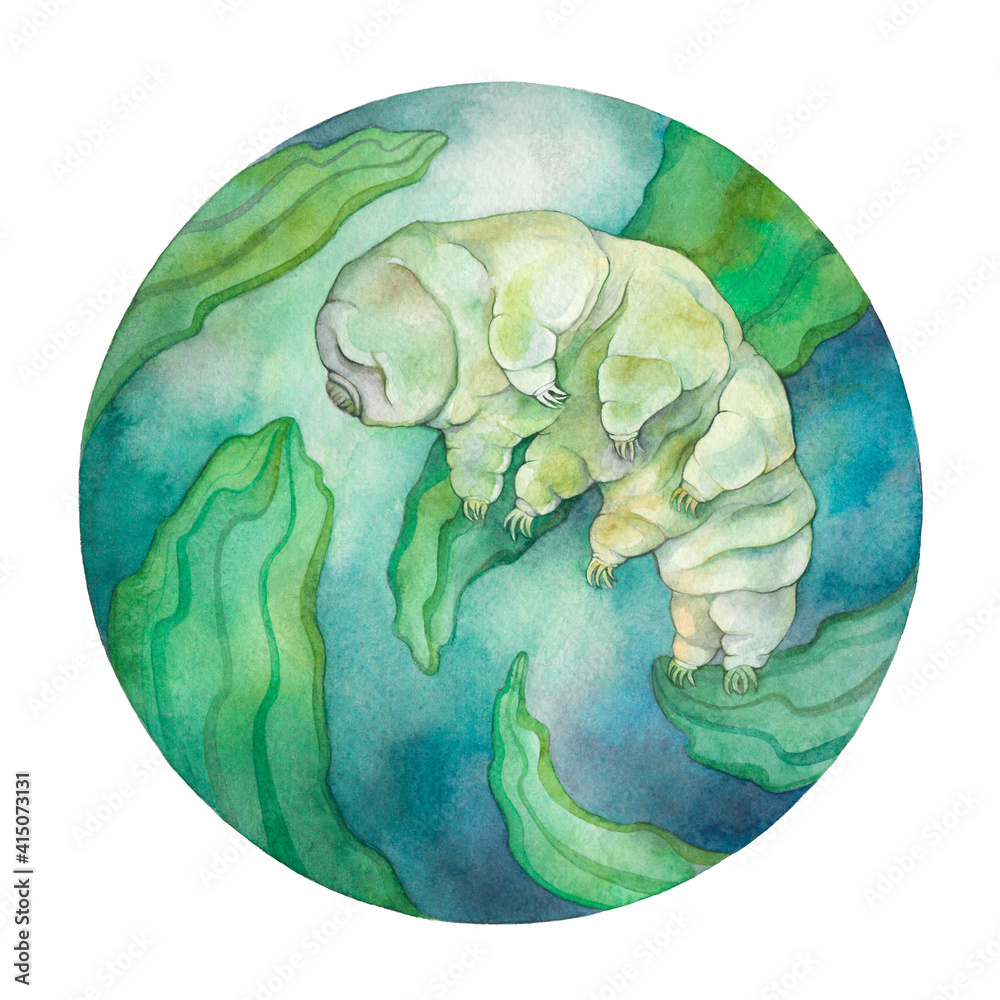 Watercolor tardigrade (Water Bear). Underwater illustration in circle ...