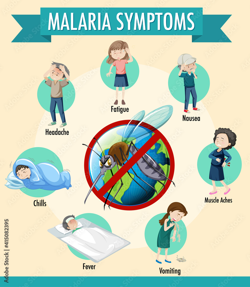Malaria symptom information infographic Stock Vector | Adobe Stock