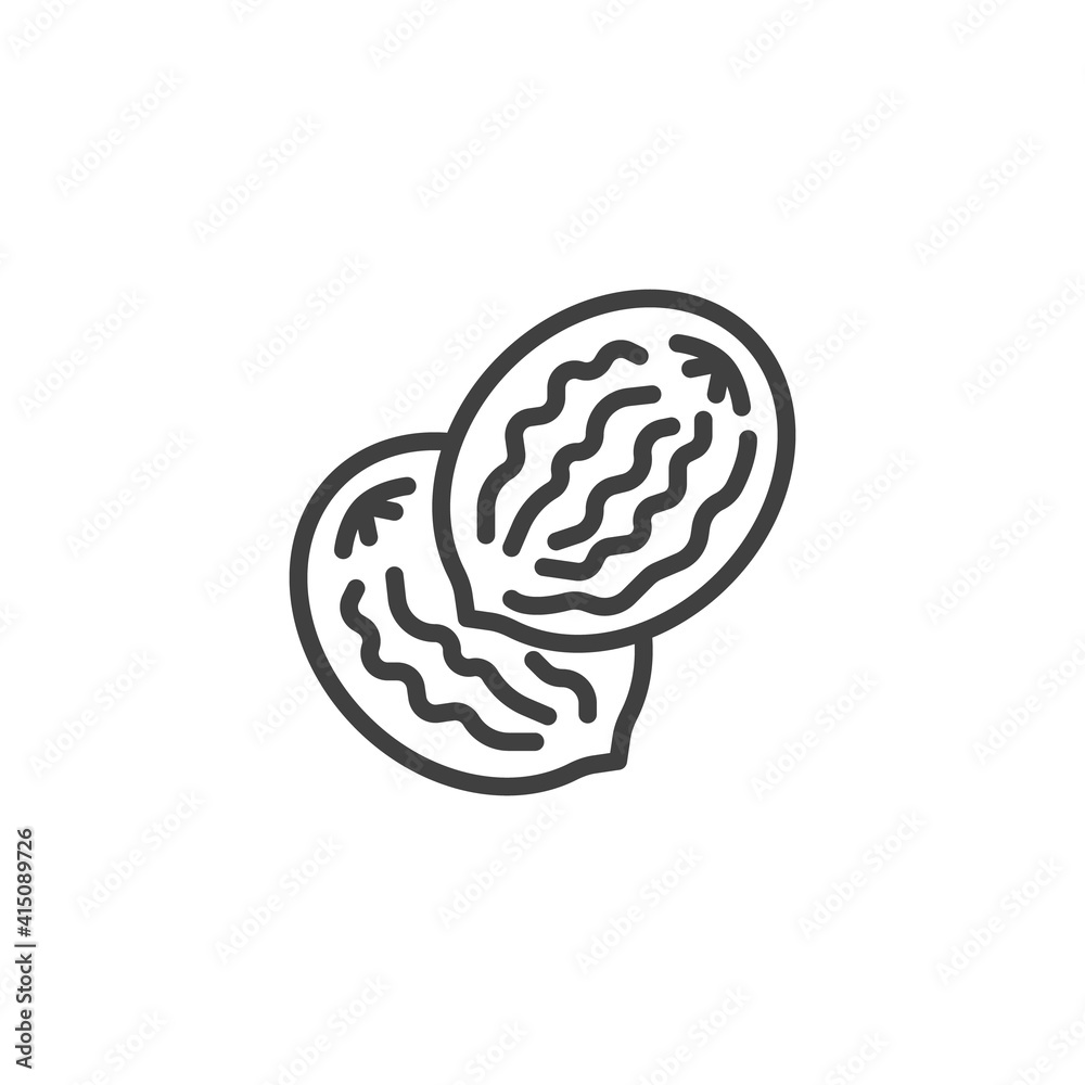 Nutmeg seed line icon. linear style sign for mobile concept and web ...