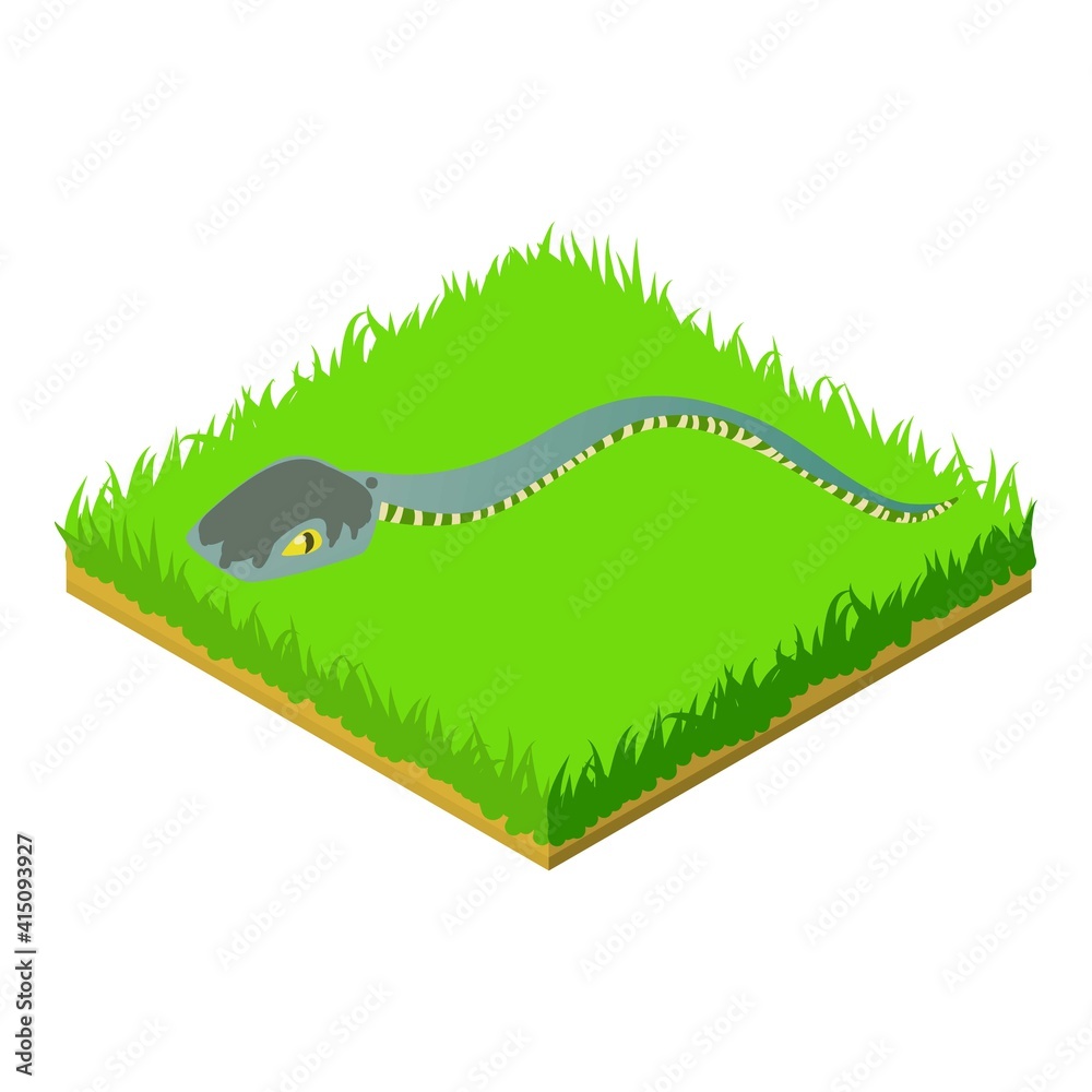 Cartoon snake icon. Isometric illustration of cartoon snake vector icon ...