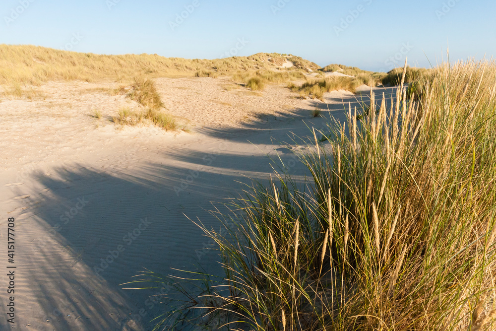 Duinen op Vlieland, Dunes at Vlieland Stock Photo | Adobe Stock