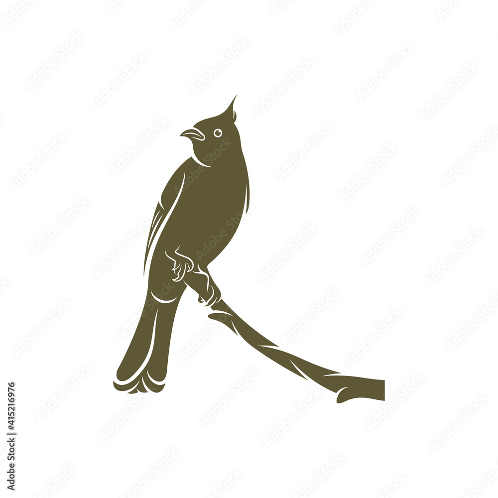 Himalayan Bulbul bird design vector illustration, Creative Himalayan ...