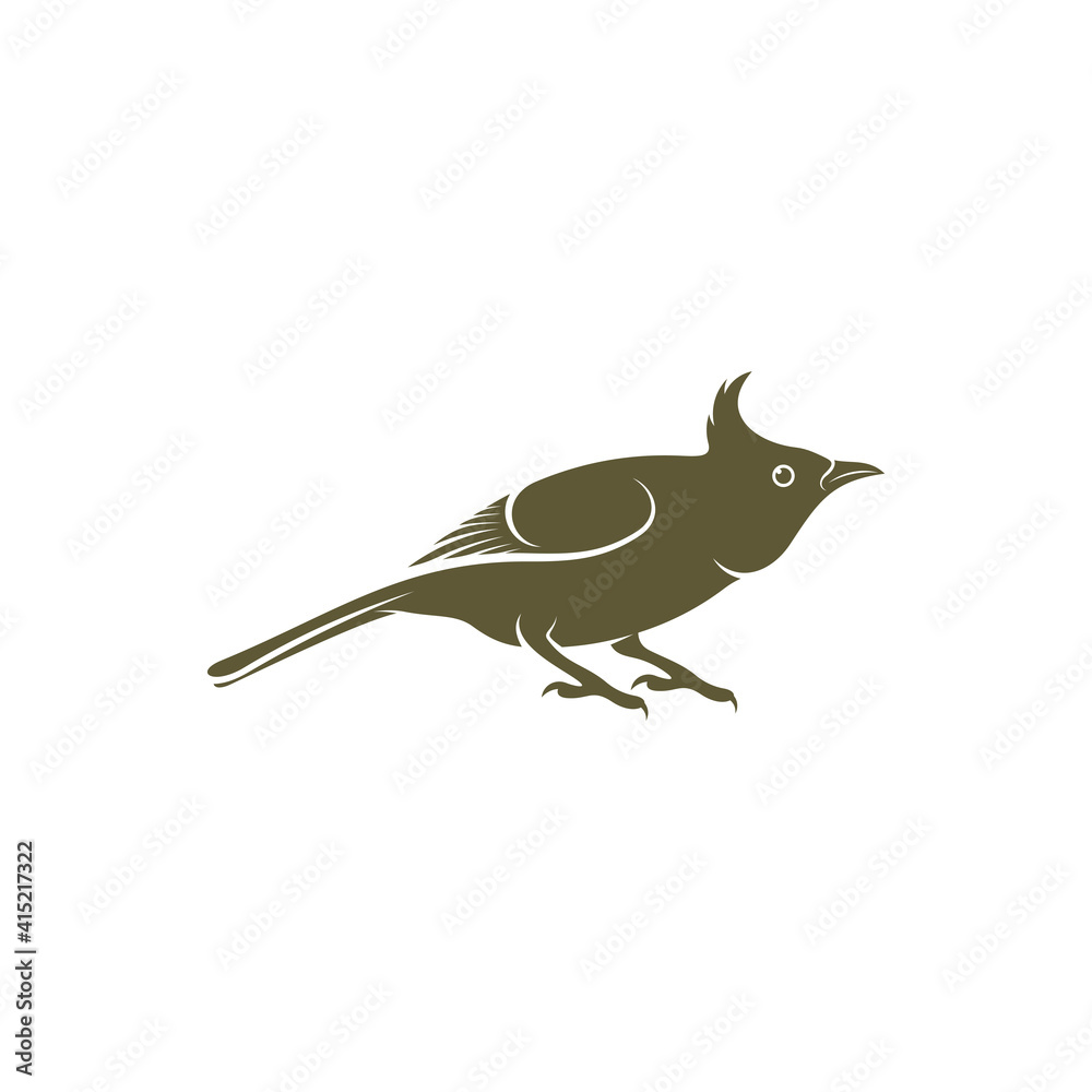 Himalayan Bulbul bird design vector illustration, Creative Himalayan ...