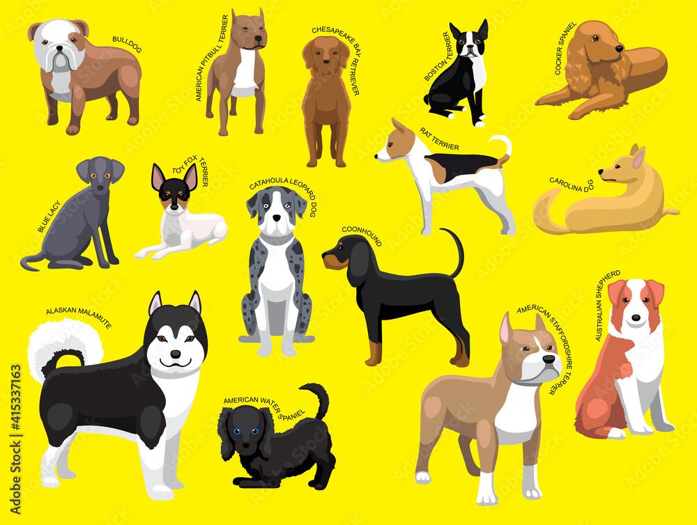 American Dog Breeds with Name Cartoon Character Set Stock Vector ...