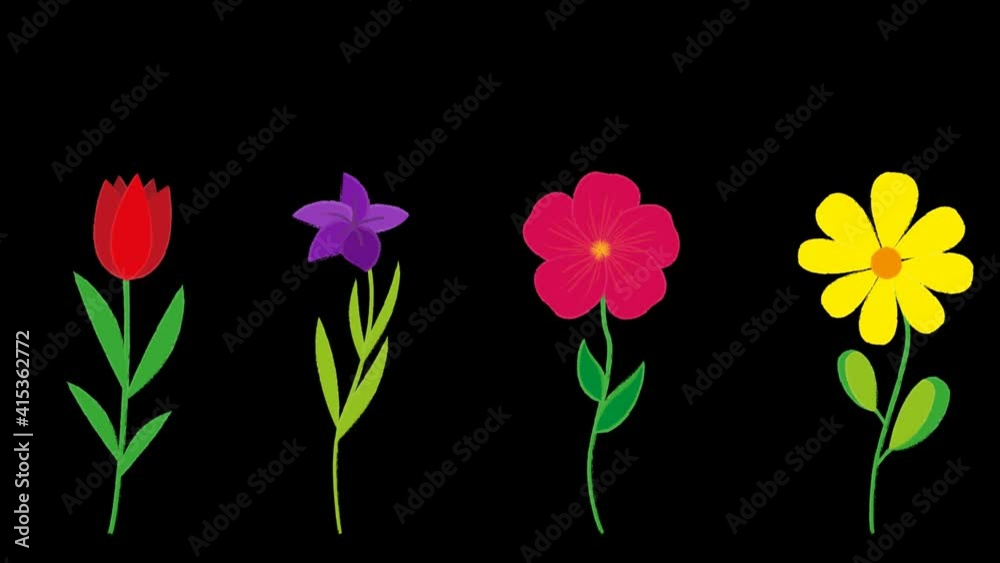 Flowers growth animation concept. Beautiful colorful flowers like ...