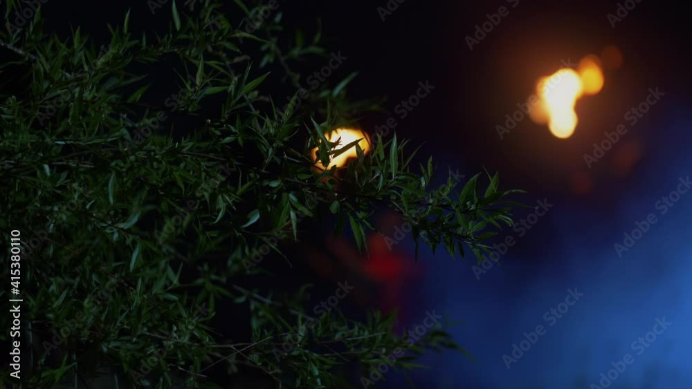The arrest of Jesus by the Temple guards in the Garden of Gethsemane ...