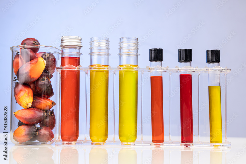 Red color unrefined palm oil and fruits with beaker test tube in ...