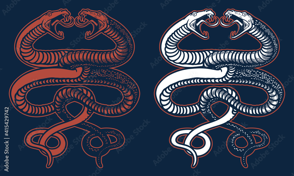 vintage twin snake premium illustration Stock-Vektorgrafik | Adobe Stock