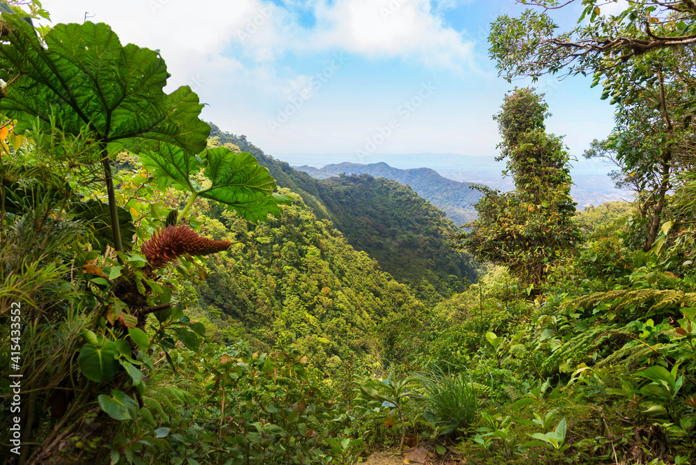 Mountainous Nature in Santa Elena Cloud Forest Reserve, in Monteverde ...