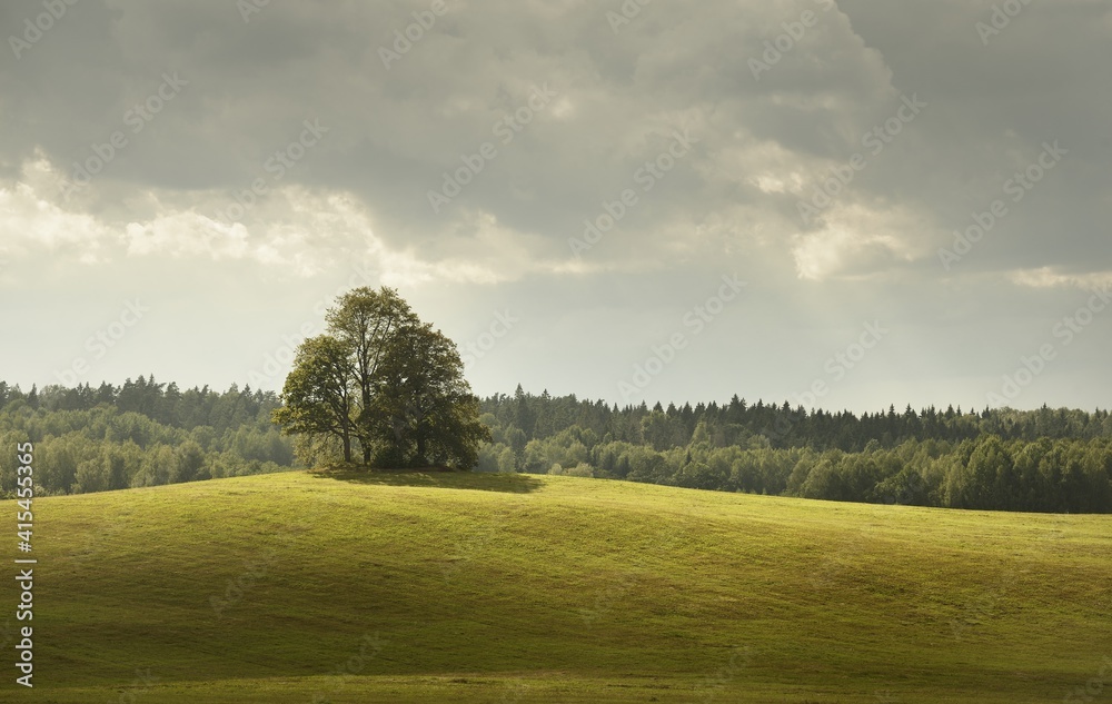 Lonely mighty oak tree and the green countryside hill under dramatic ...