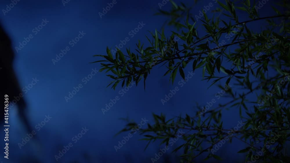 The arrest of Jesus by the Temple guards in the Garden of Gethsemane ...