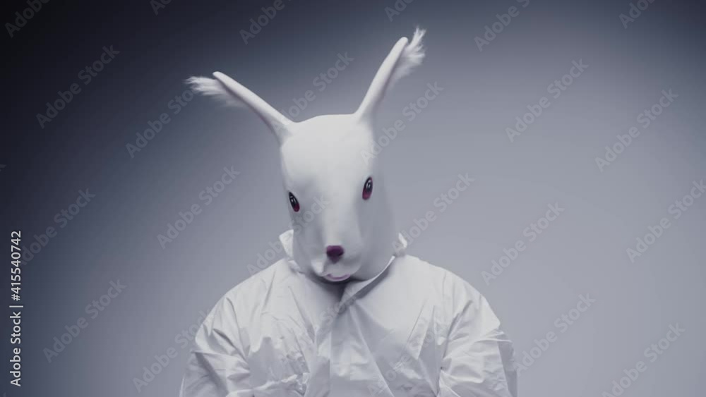 Madness and mental illness concept. Scary, crazy person in animal mask ...