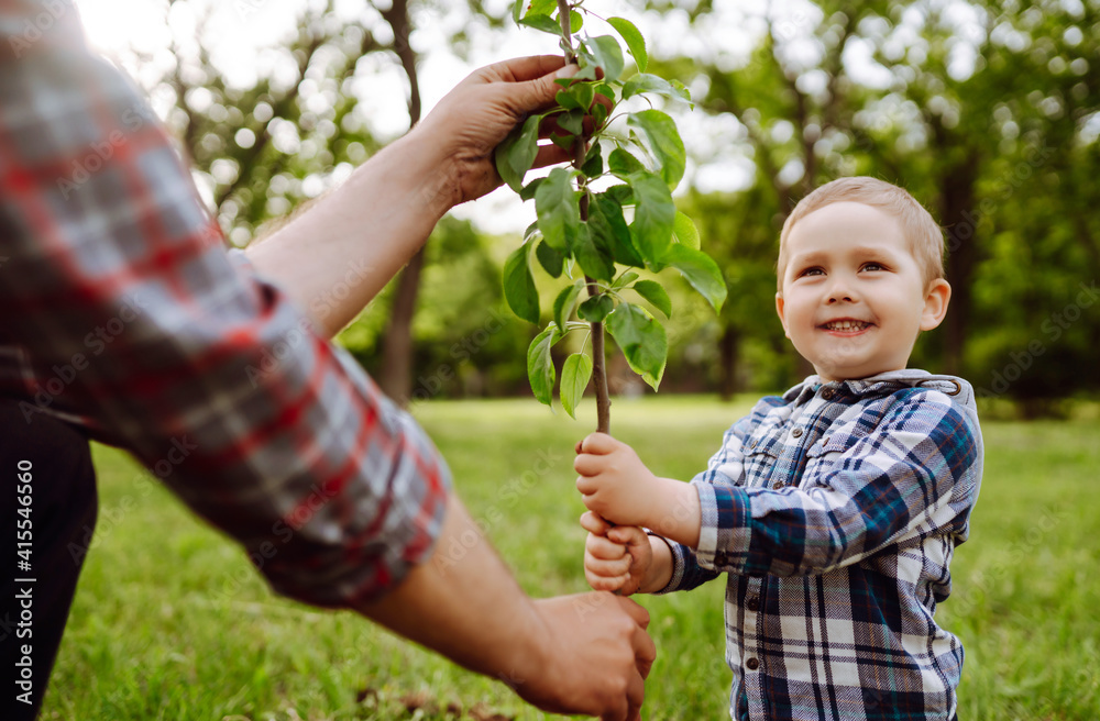 Cute child plants young tree with grandfather in the garden. Planting a ...