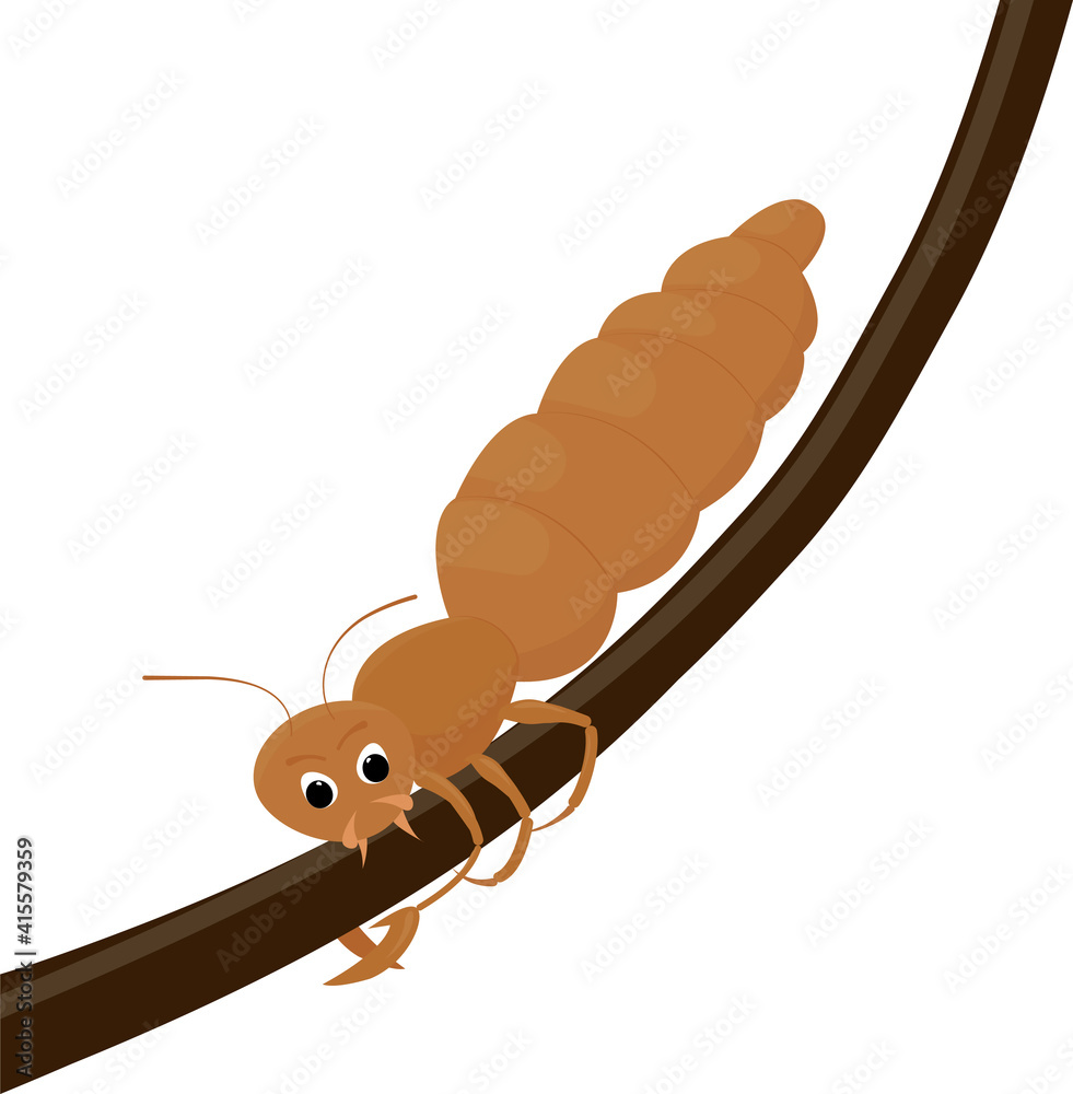 Cartoon louse on human hair isolated on white background. Vector ...