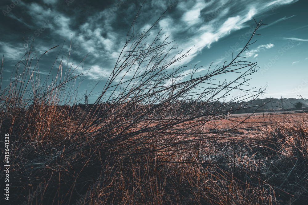 Dramatic wide shot of a blasted land, after nuclear radiations ...