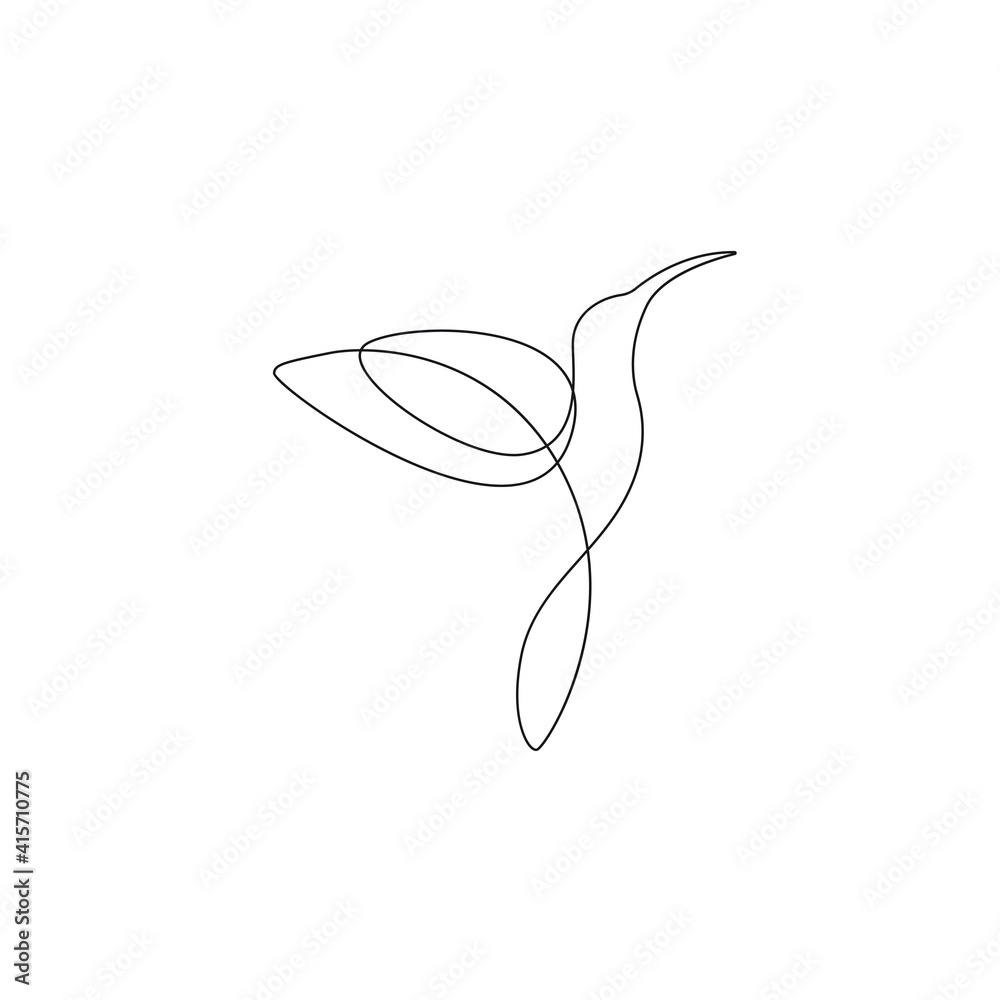 Hummingbird Line Drawing