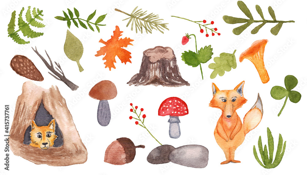 watercolor fox children's book illustration . a set of forest elements ...