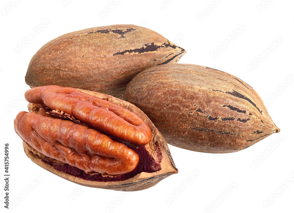Whole Pecan Nut in Shell Isolated on White. Full Field of Depth, No ...