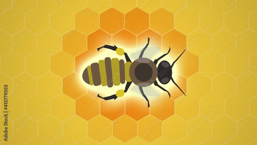 Vertical Video, Honey Bee Hovering over Pulsing Pattern of Hexagonal ...