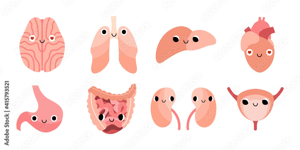 Cute internal organs character with smiling face. Funny healthy kawaii ...