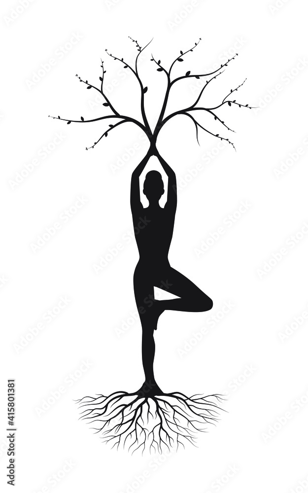 Yoga asana silhouette, tree pose isolated on the white background. Tree ...