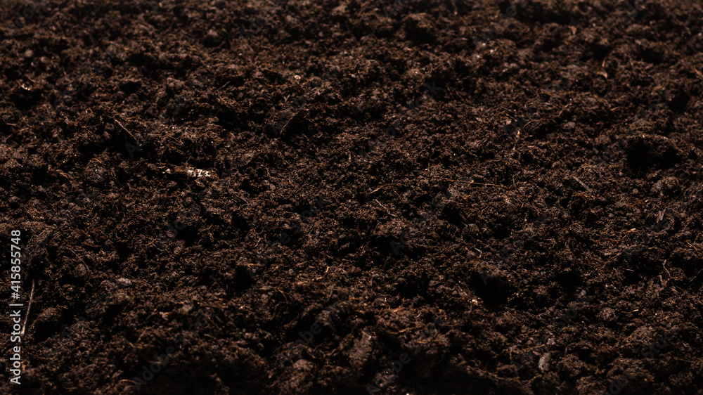 Black land for plant background. Stock Photo | Adobe Stock