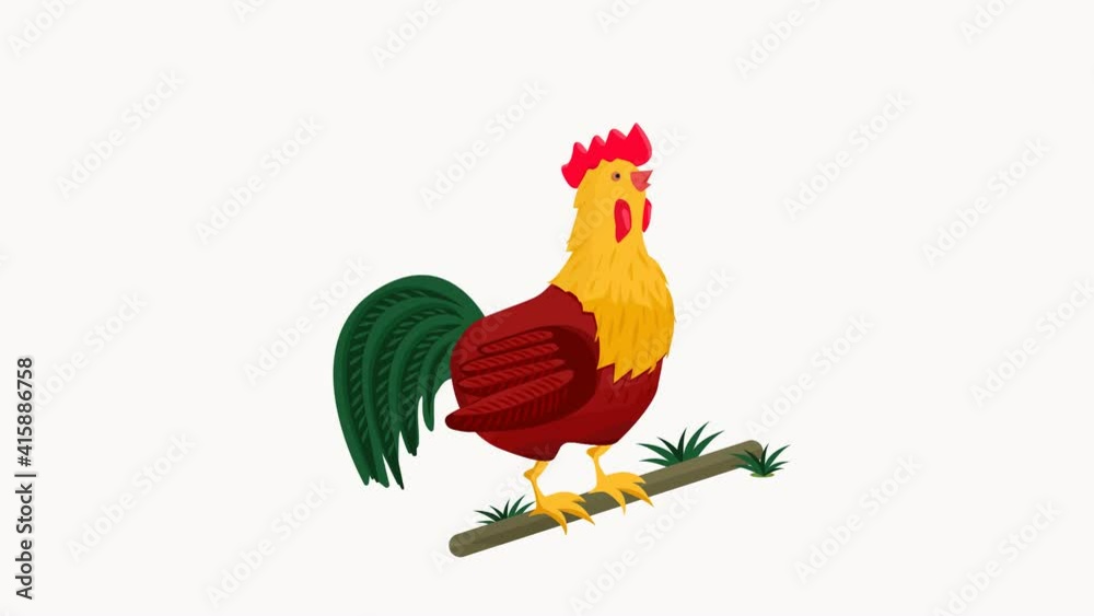 Vidéo Stock rooster. Animation of a rooster with an alpha channel ...