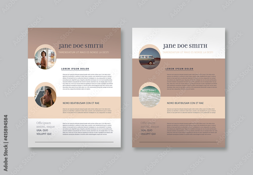 Introduction Pitch Sheet Layout Stock Template | Adobe Stock