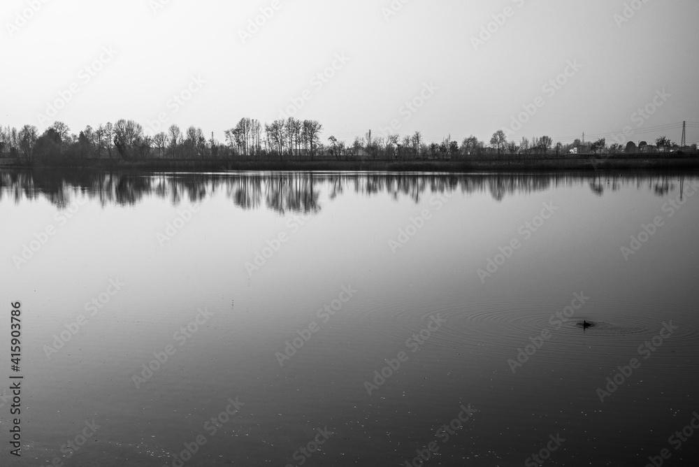 Poster placid sad reflexes five – Wall Art | UkPosters