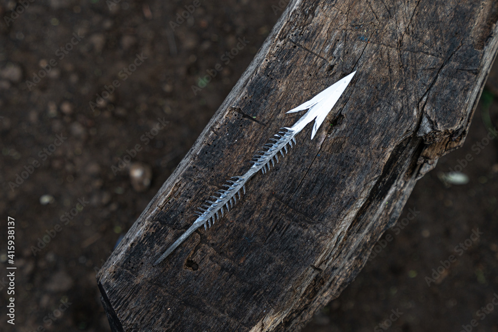 Hand made arrow head created by Datoga tribe. Stock Photo | Adobe Stock