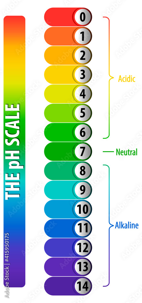 A pH scale on white background Stock Vector | Adobe Stock