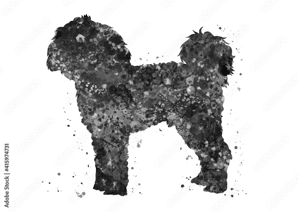 Cavapoo Dog black and white watercolor, abstract painting. Watercolor ...