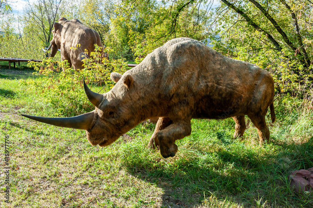 Extinct prehistoric ice age rhino. Life size model in the park in ...