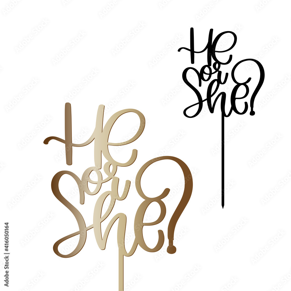 Gender reveal cake topper with He or she sign vector design. Pregnancy ...