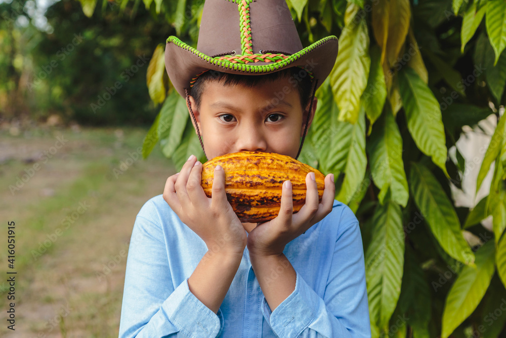 Fresh cocoa pods in the hands of farmers Stock Photo | Adobe Stock