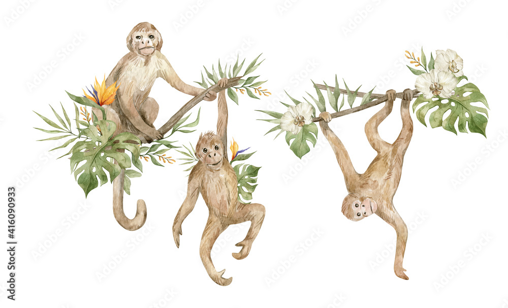 Watercolor cute monkeys and floral tropical bouquets. Exotic tropical ...