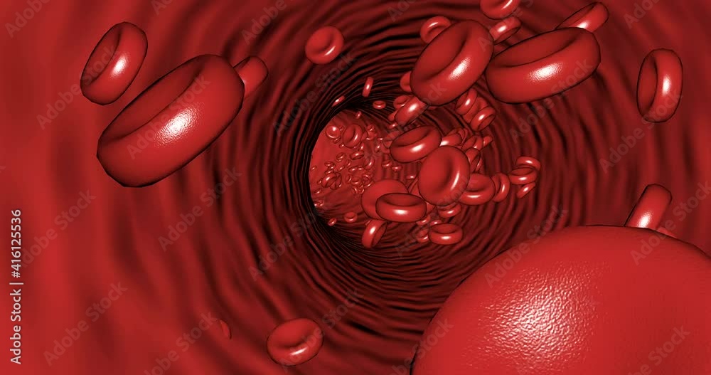 Movement inside a blood vessel among platelets Red blood cells in an ...