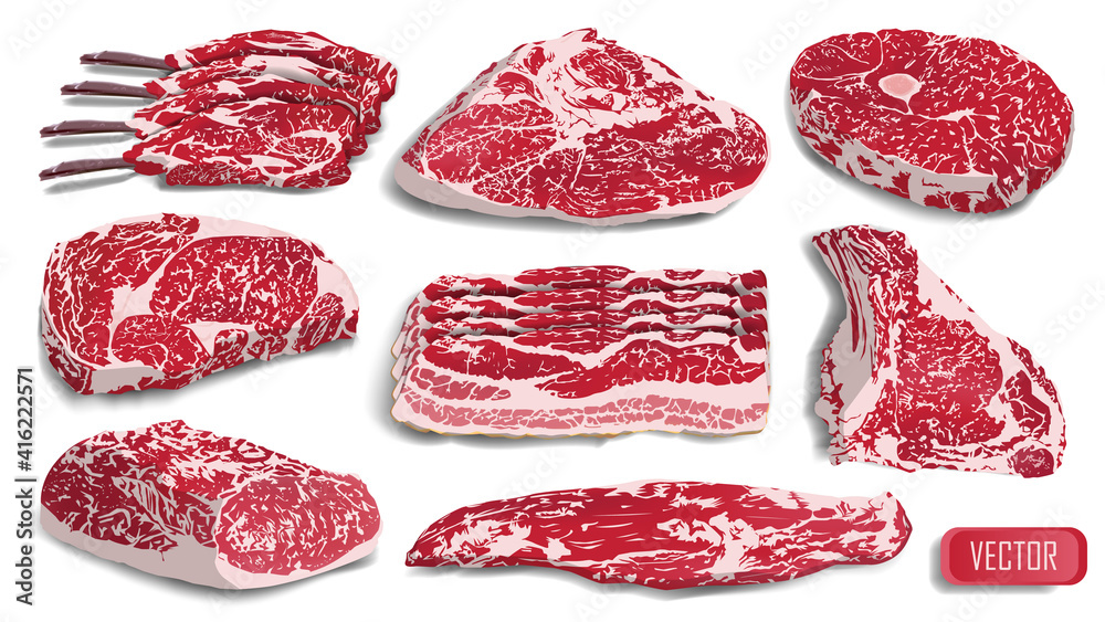 Big set of realistic meat. Cow pork steak grill food beef raw vector ...