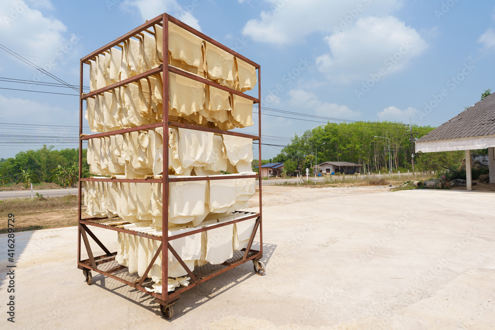 Rubber sheets dry The raw rubber latex is made of acid, which makes it ...