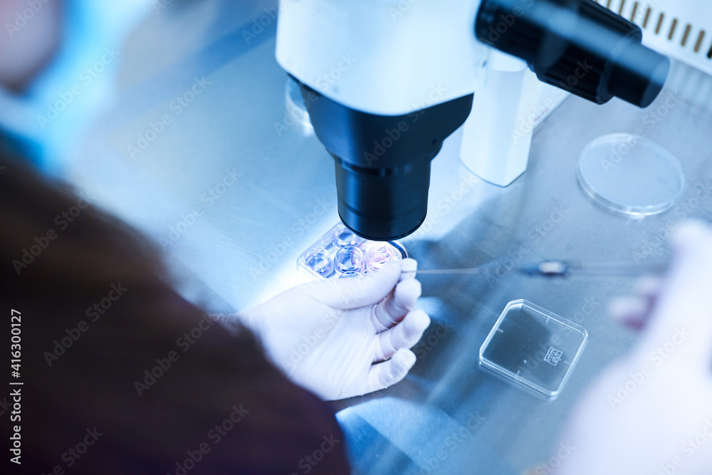 Equipment on laboratory of Fertilization, IVF. Microscope of ...