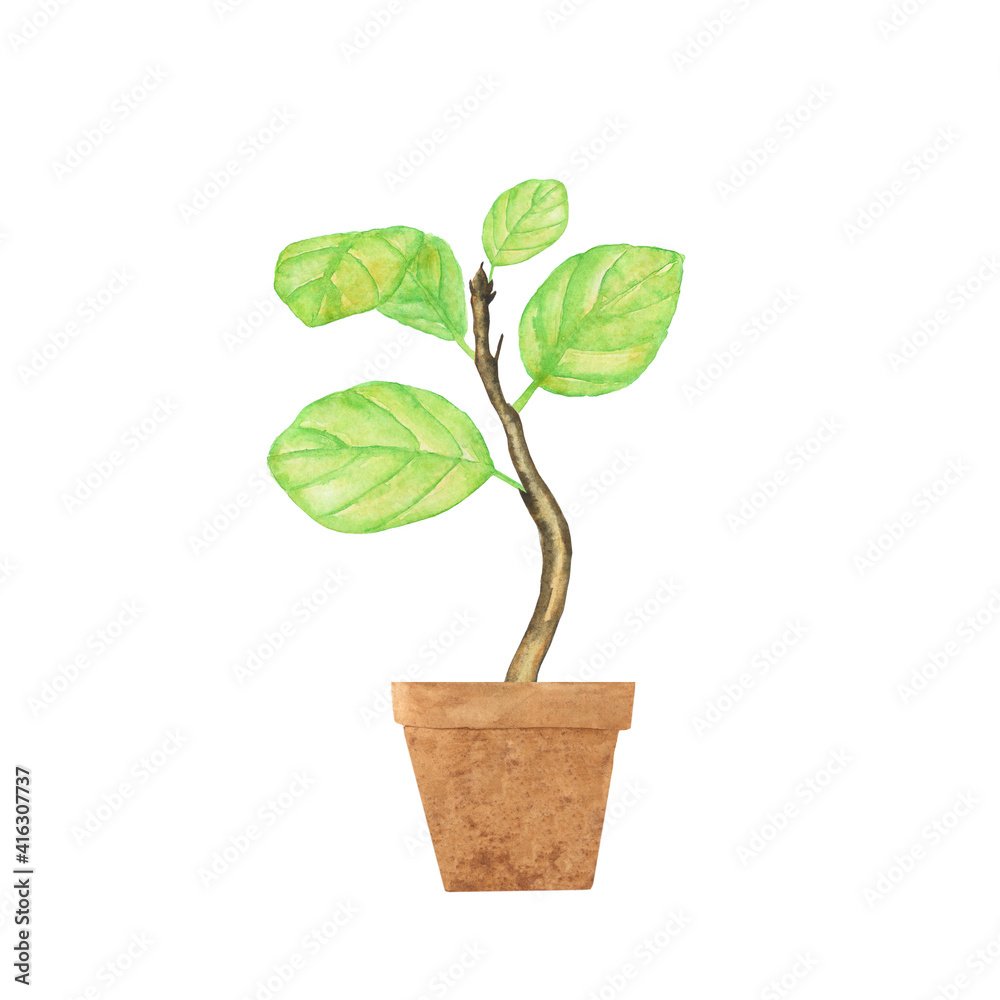 Little tree in pot isolated on white background. Watercolor hand ...