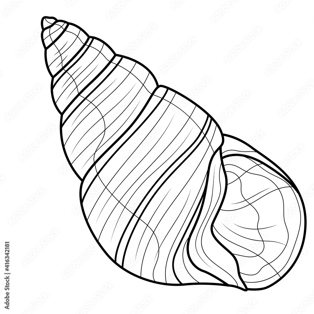 Sea shell.Coloring book antistress for children and adults ...