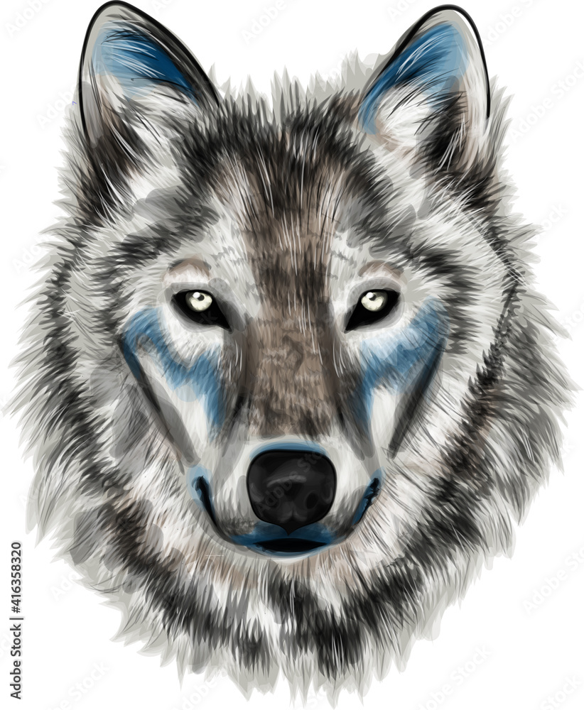 Realistic wolf vector portrait print Stock Vector | Adobe Stock