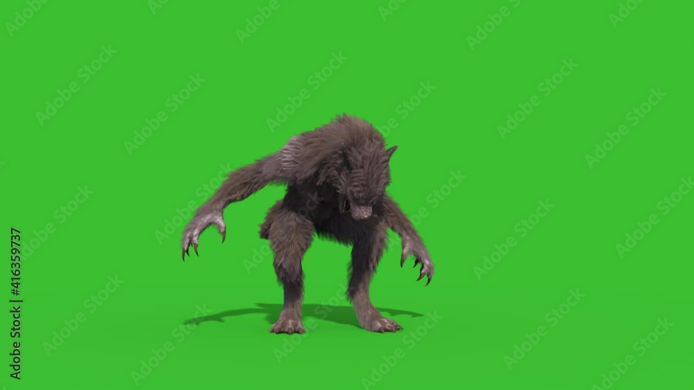 Werewolf Real Fur Green Screen Howls Front 3D Rendering Animation 4K ...