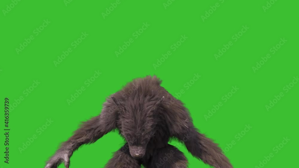 Werewolf Real Fur Green Screen Howls 3D Rendering Animation 4K Horror ...